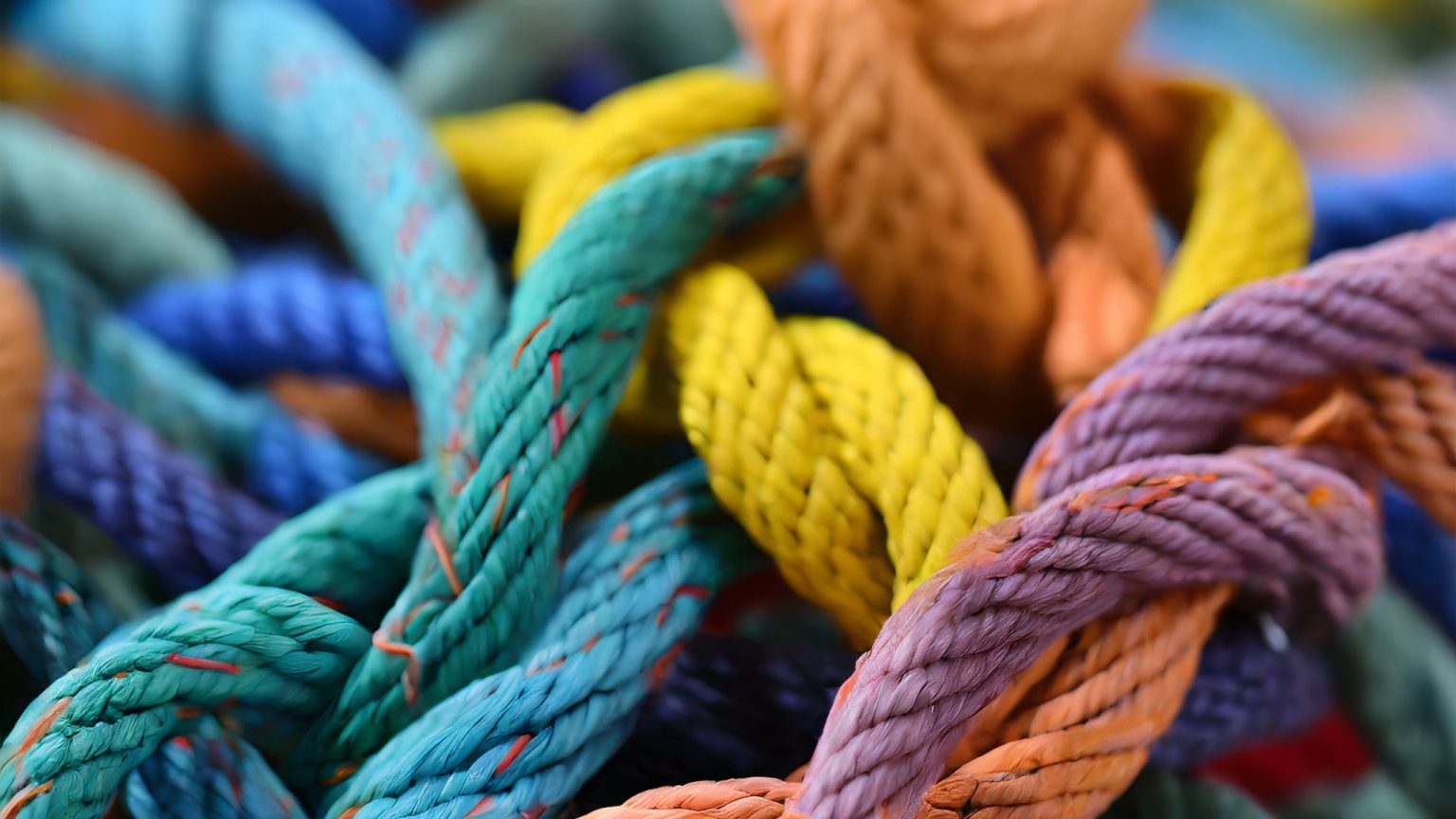 Trassel med rationella tal - Vetenskapens Hus